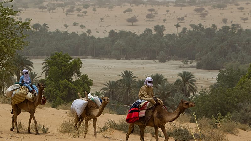 Chad: French tourist's death a tragic accident according to another ...