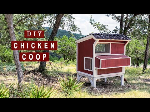 How to build a backyard chicken coop (part 1)
