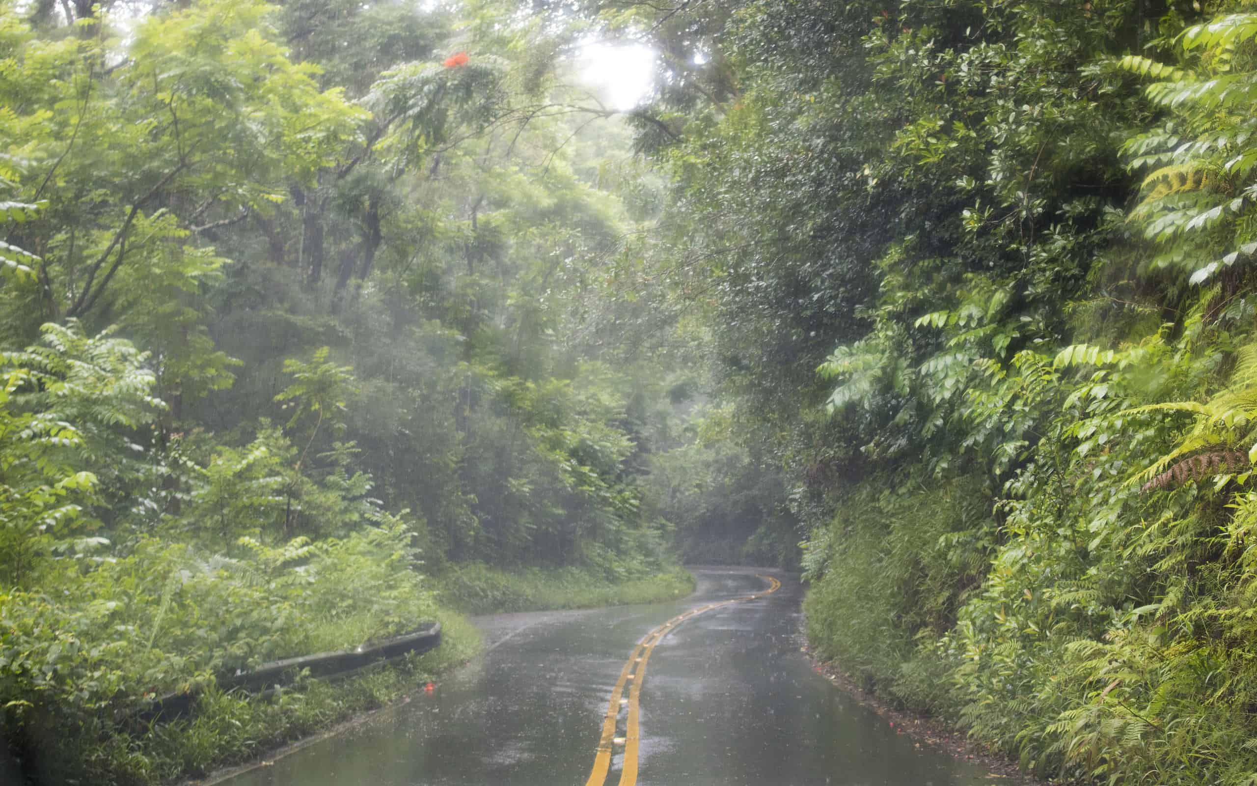 Explore the tiny US town that got 61 feet of rain in one year