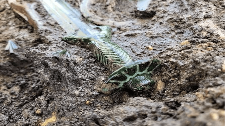 3,400-year-old legendary octagonal Bronze Age sword unearthed in south ...