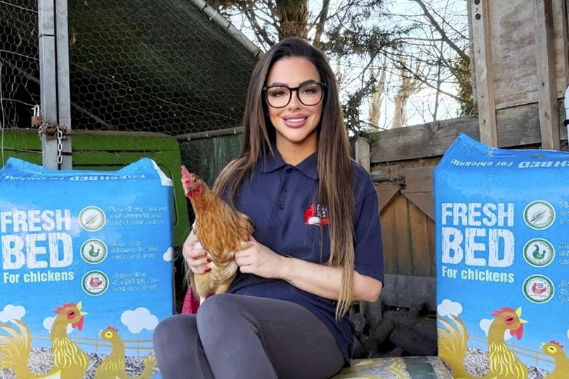 Bird-flu lockdown set to put five-star Kent hotel for chickens out of ...