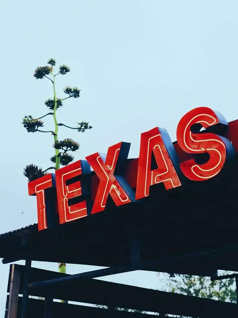 Why more Americans are leaving Texas for these 4 states