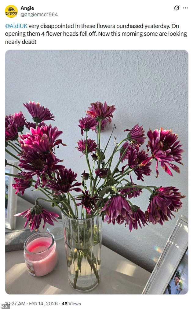 Shoppers left disappointed as their wilted Valentine's Day flowers look ...