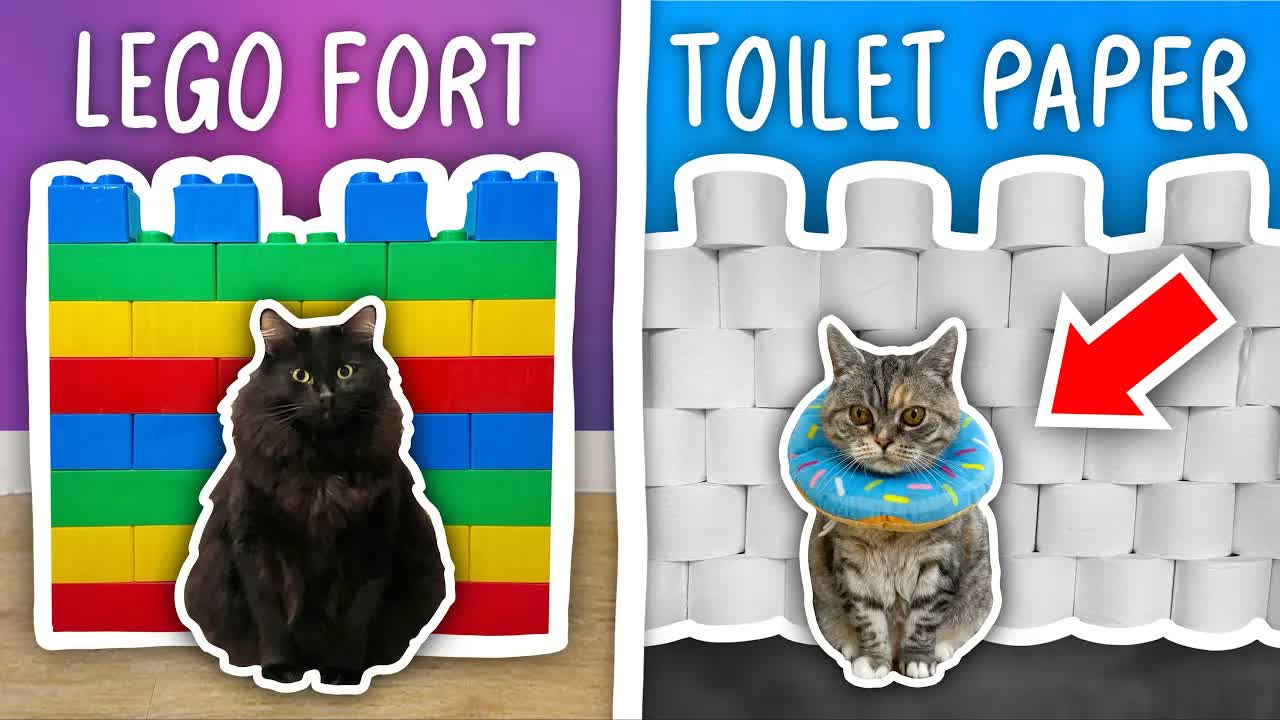 The ultimate LEGO cat forts – will they survive?