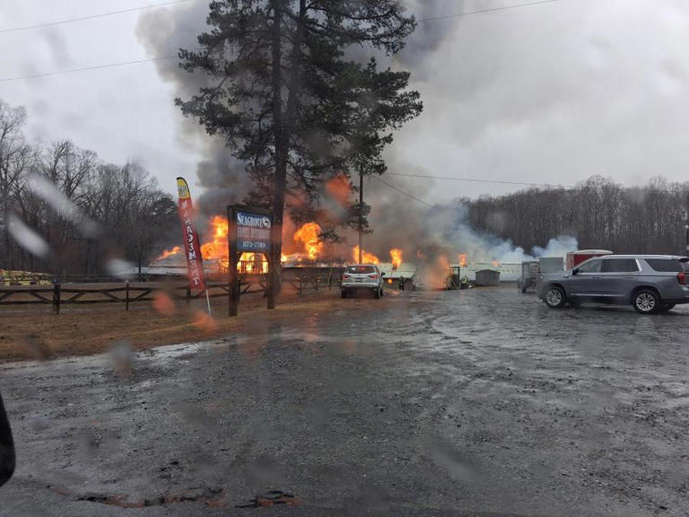 Dozens of horses killed in devastating fire at Callicutt Stables in ...