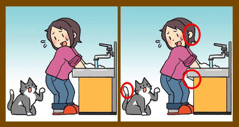 Spot the difference puzzle: Find 3 differences in this woman and cat scene!