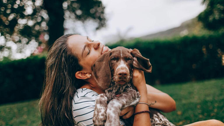 Experts say homemade dog diets lack critical nutrients despite owners ...