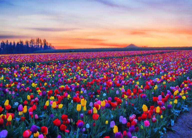 Dream spring break in Oregon: Where I'd go if money was no object