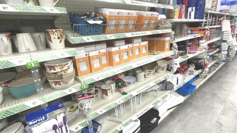 11 affordable Dollar Tree organization finds that double as decor