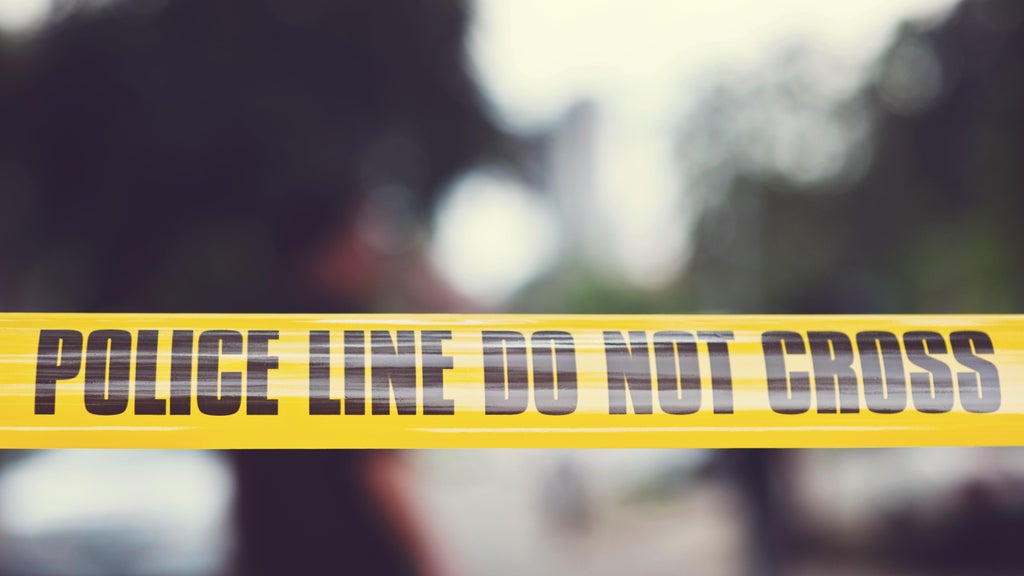 Remains found in Ridley Creek State Park belonged to a deer, not a ...