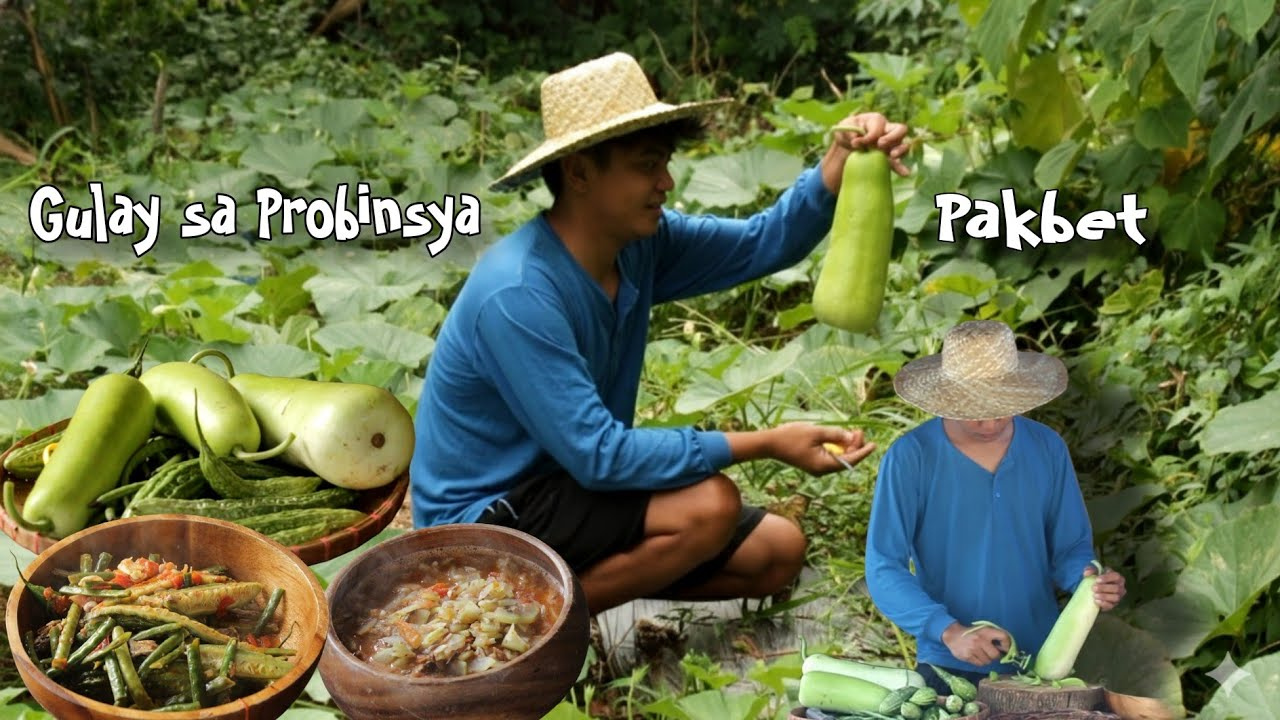 Harvesting Filipino veggies and cooking pakbet