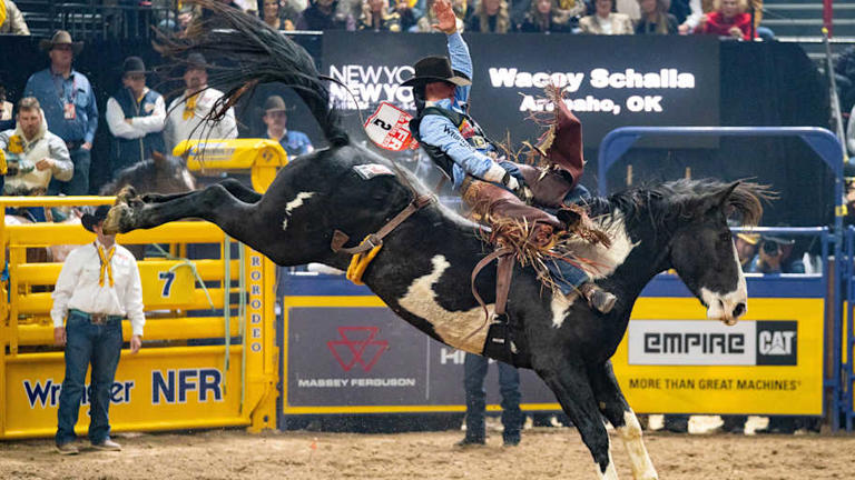 Bold predictions for 2026 gold buckle winners following Fort Worth finals