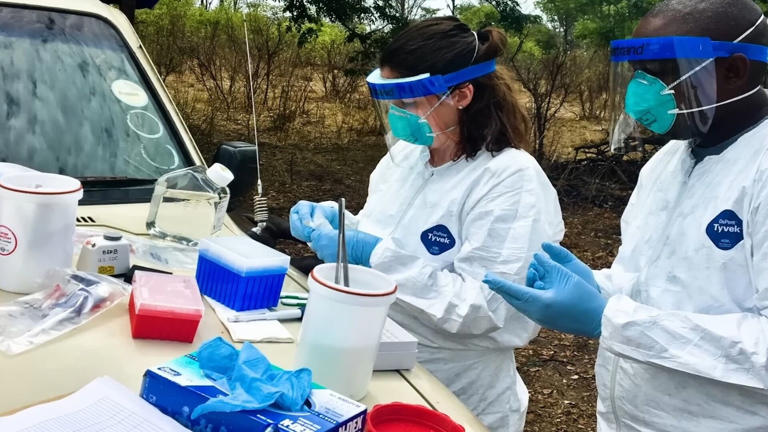 Inside the Epidemic Intelligence Service, the disease detectives ...