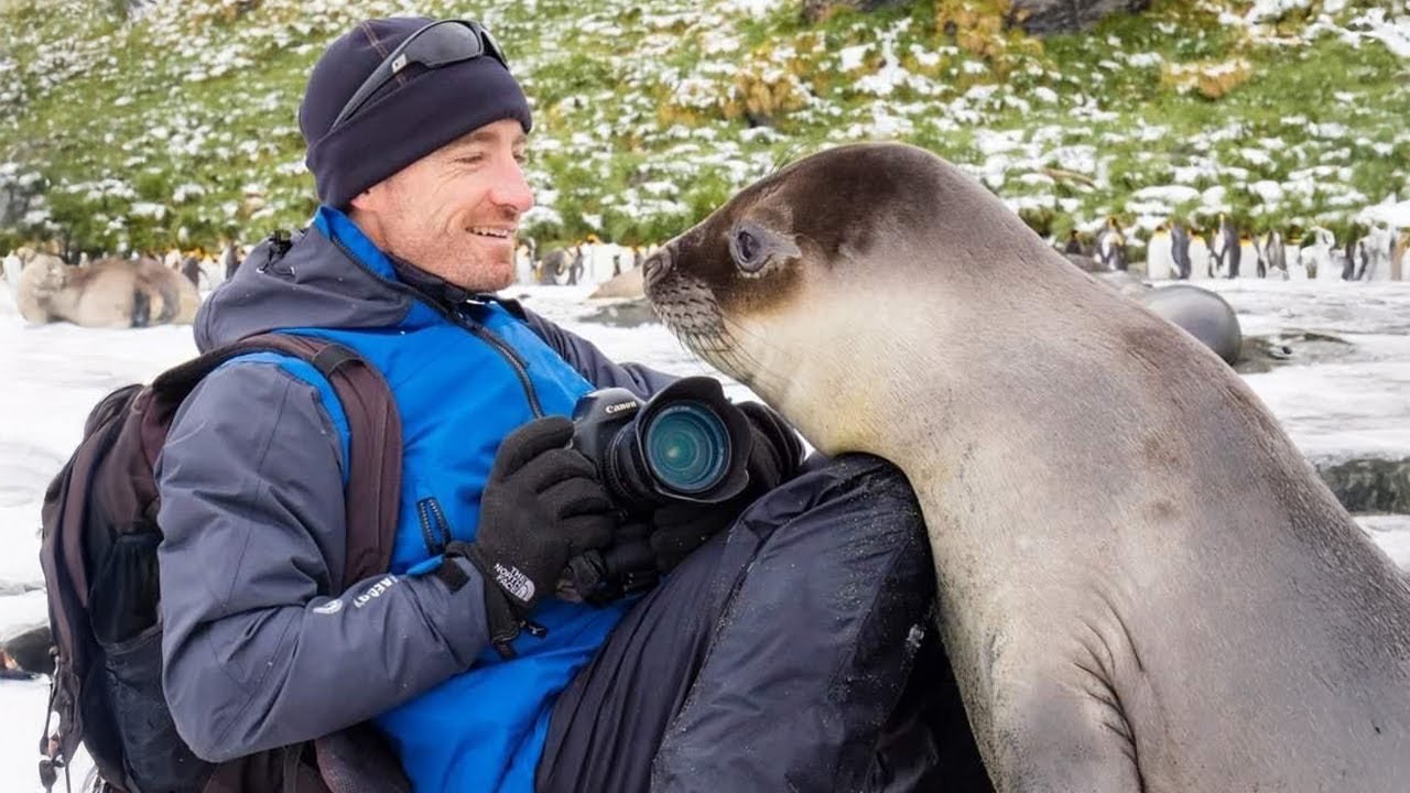 Friendliest animals in the world share funny human interactions