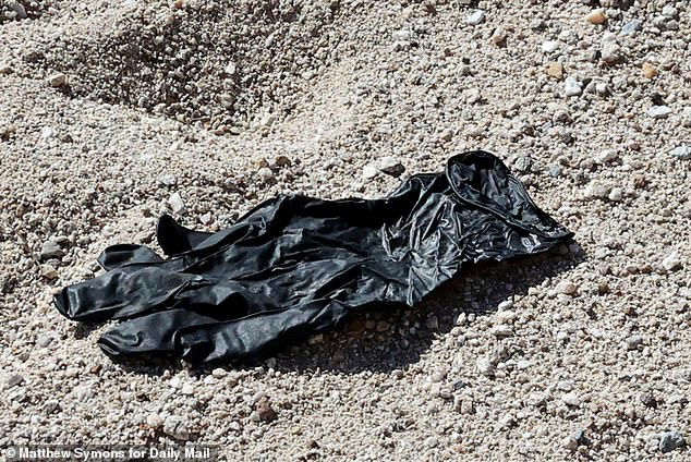 Nancy Guthrie Sheriff reveals smoking gun piece of evidence that could ...