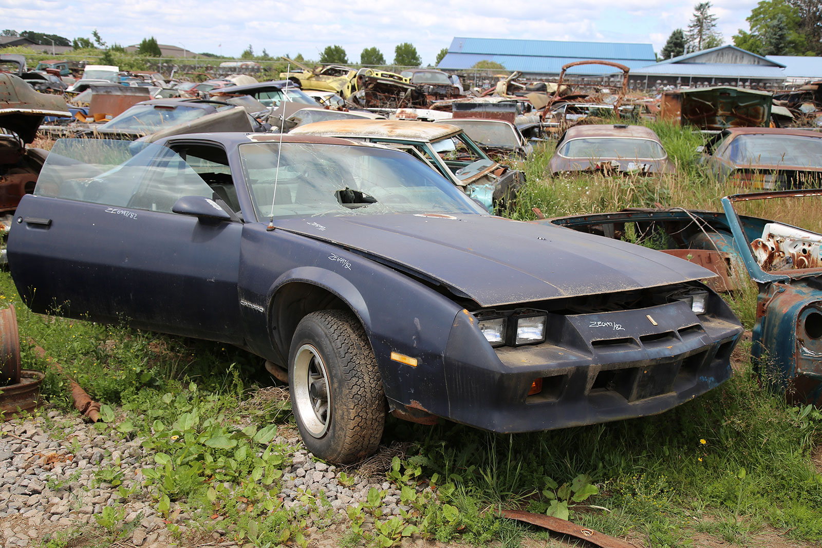 The junkyard gems of All American Classics, Vancouver, Washington