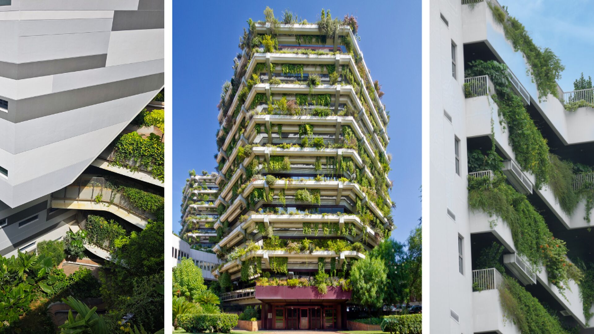 Tentoonstelling over groen bij bouwen onthult: goedbedoelde ontwerpen ...
