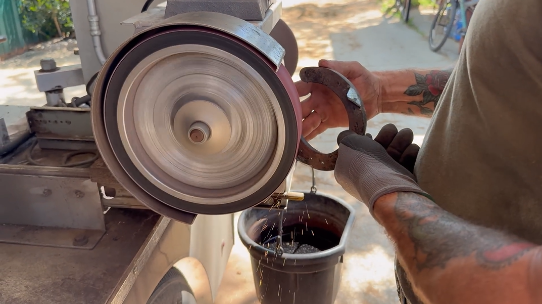 From damaged to perfect: How did this hoof transform so completely?