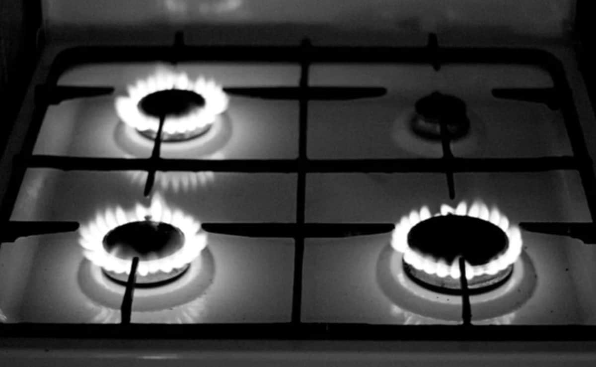 What is four burner theory, the viral concept that reveals why careers ...