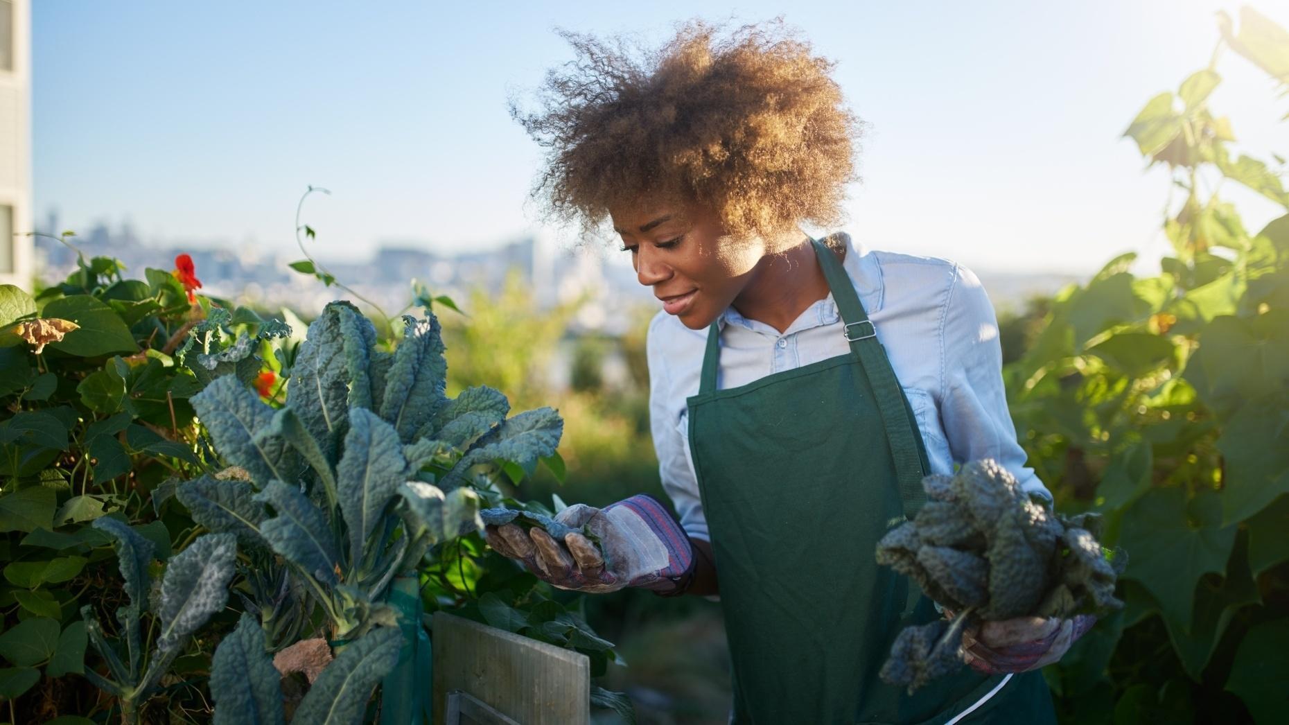 Five of the most powerful superfoods to add to your diet