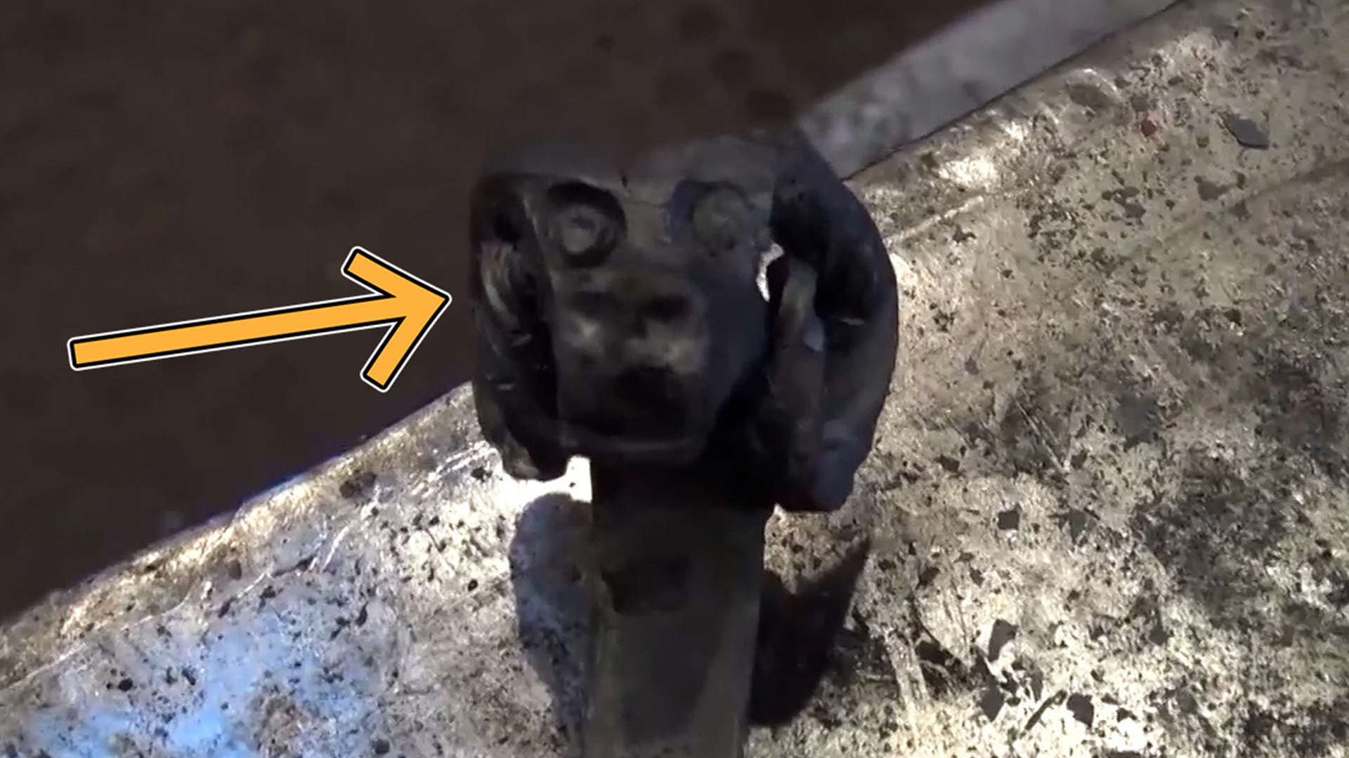 Figure carving: Ram’s head hook