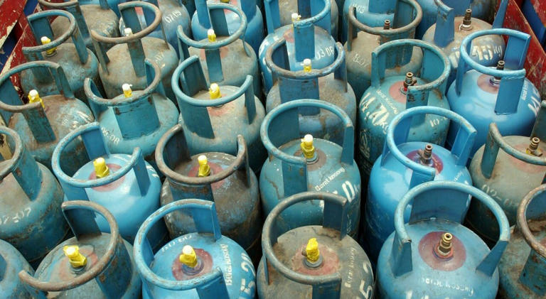 Gas refrigerante, sequestrati al porto 24mila chili all'interno di 1. ...
