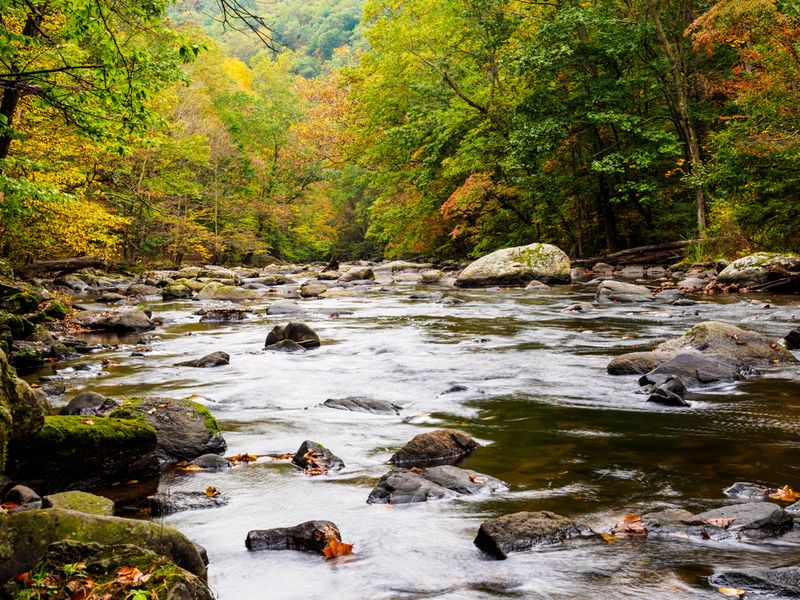10 unforgettable outdoor escapes throughout New Jersey