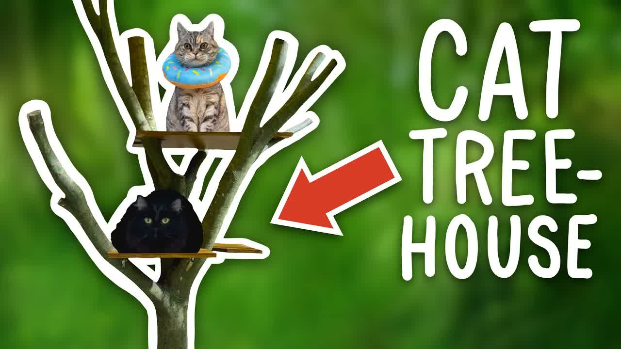 What cats do with their own treehouse
