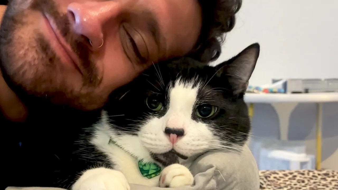 This rescue cat picked his person - and it wasn’t mom