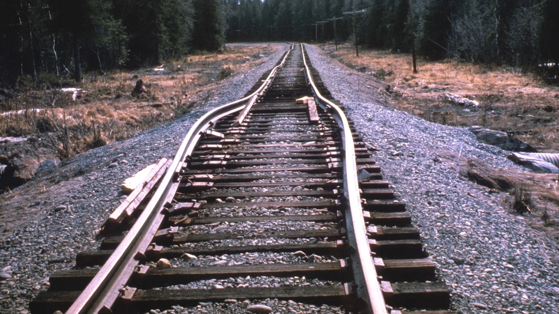 Trains expand in heat - so why don’t tracks break?