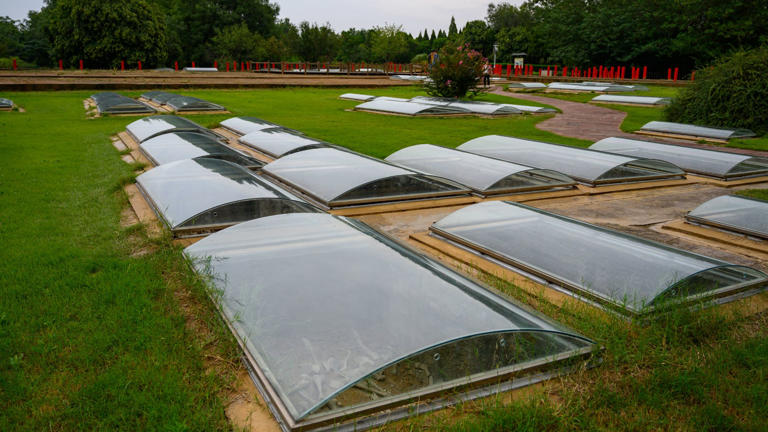 Anyang was China's capital 3,000 years ago, and archaeologists there ...
