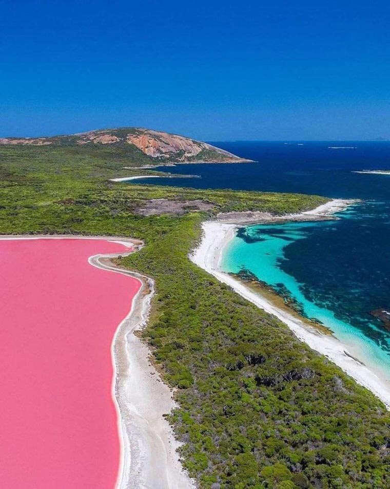 The Pink Lake (Lake Hillier): Why This Australian Lake Looks Like Milkshake