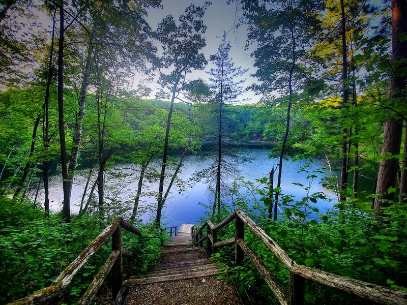 The most common Michigan national forest mistakes nobody warns you about