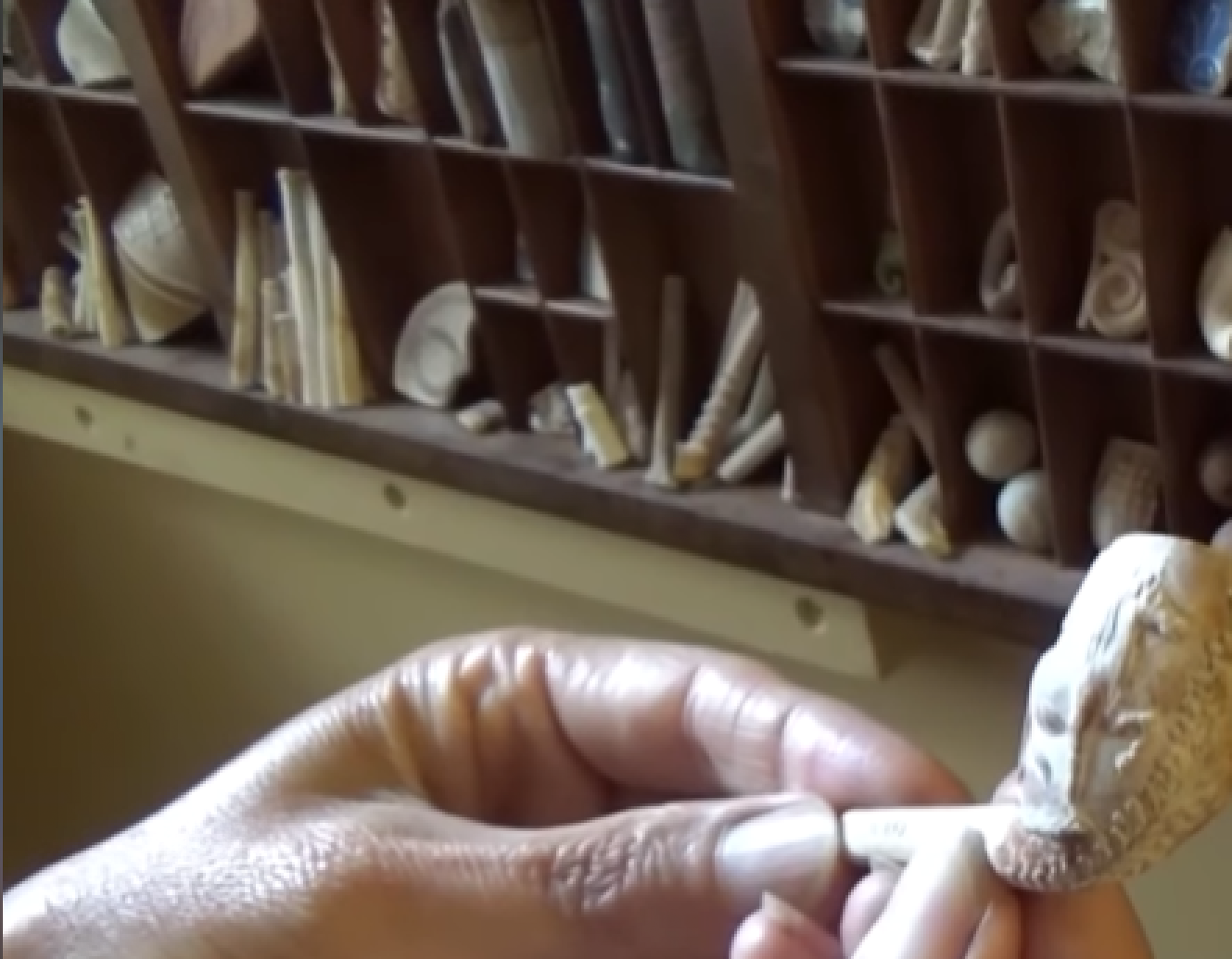 Tiny doll still has its makeup after years in the mud