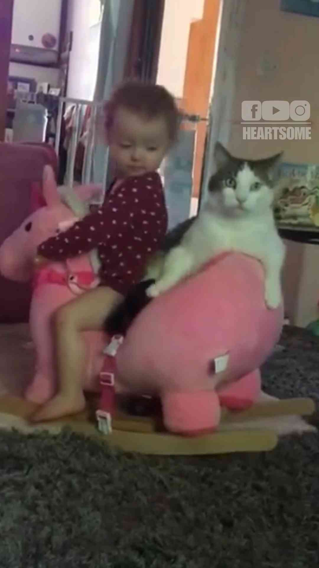 Little girl interrupts cat’s me time and it’s hilariously adorable