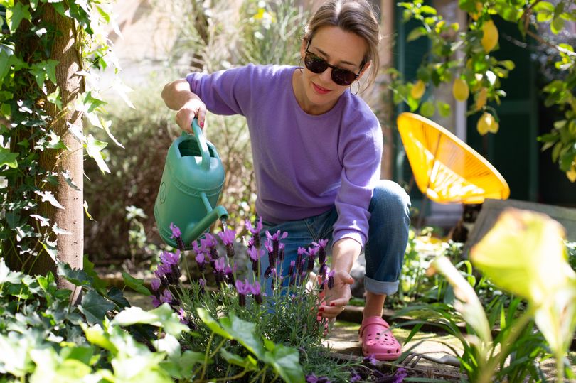 Gardening mistake risks people ending up with 'weak or dead seedlings'