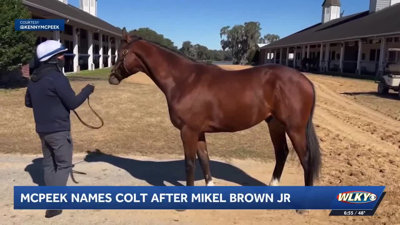 Derby-winning trainer names colt after UofL's Mikel Brown Jr.