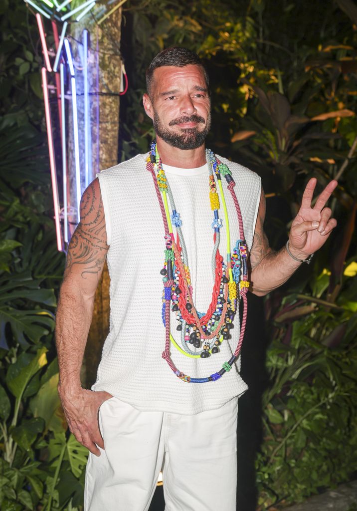 Ricky Martin disfruta del carnaval de Río de Janeiro y declara su amor ...