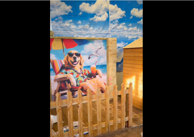 Doncaster theme park for dogs Centre Barks announces expansion plans