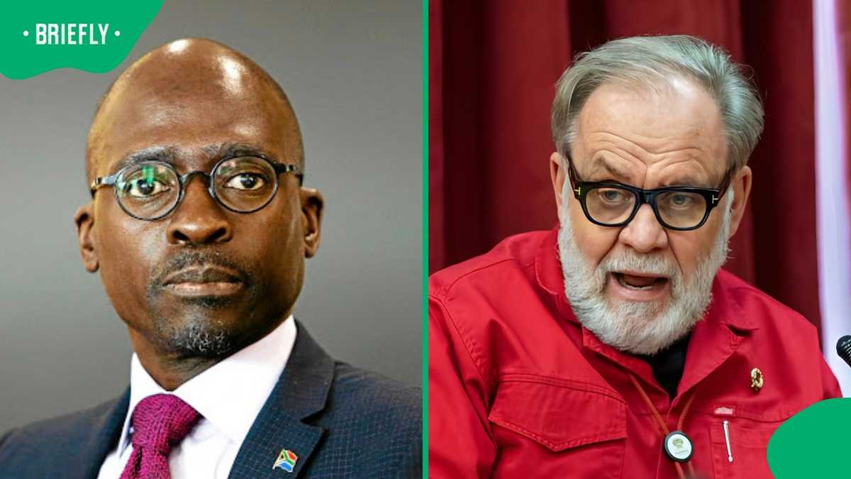 Dr Malusi Gigaba hits back after EFF MP Carl Niehaus demands his ...
