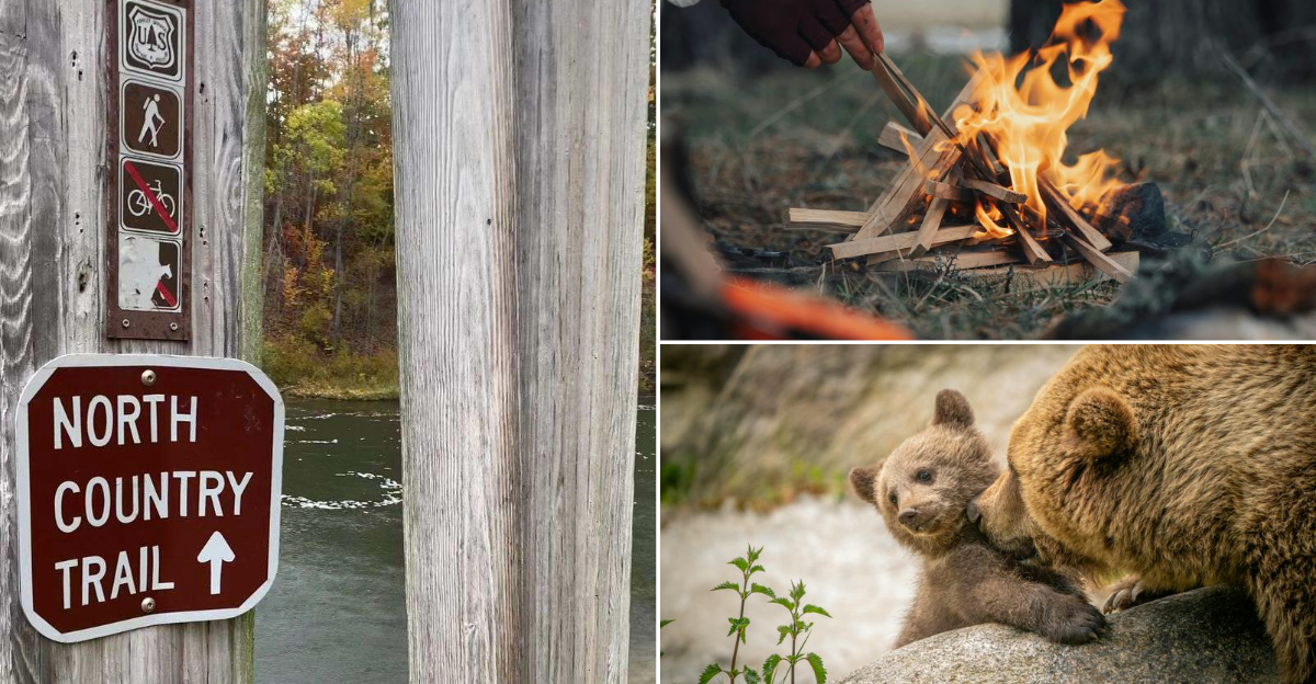 The most common Michigan national forest mistakes nobody warns you about