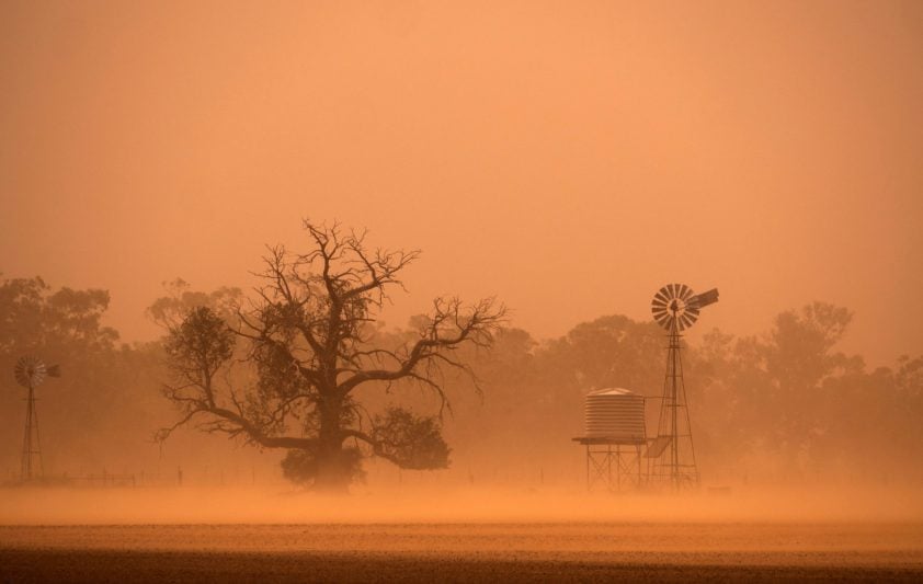 Study finds North African dust storms easing since 1980s as climate ...