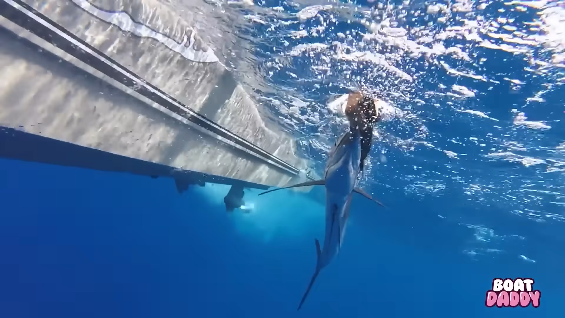 Textbook kite bite… disaster 10 seconds later