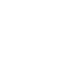 نوفاك: روسيا تدرس حظر تصدير الديزل لعدة أشهر