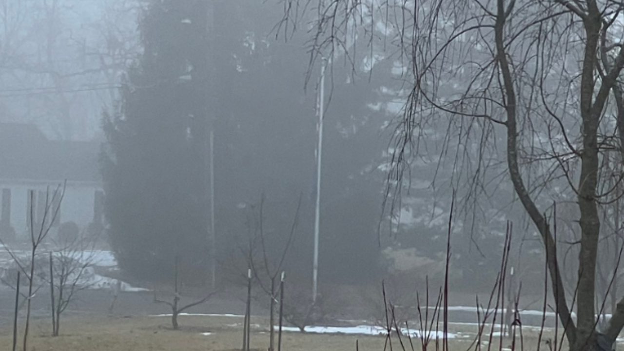 Dense fog advisory: Near-zero visibility hits Columbus, travel delays ...