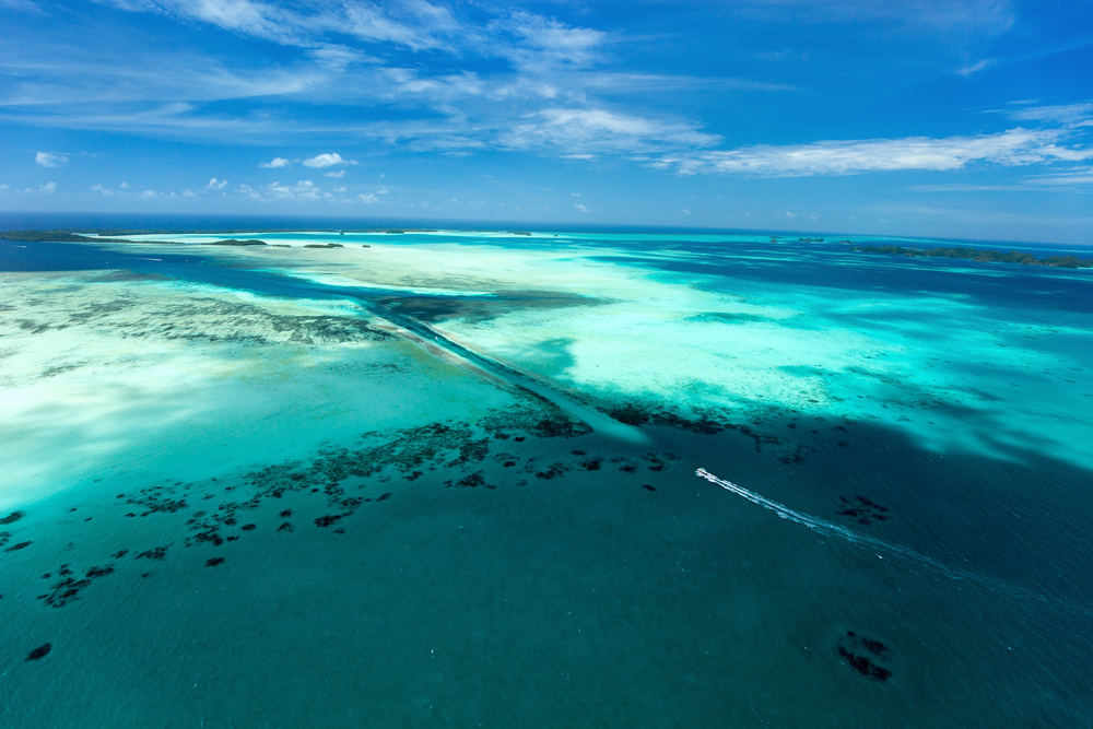 20 best spots in Palau for diving enthusiasts