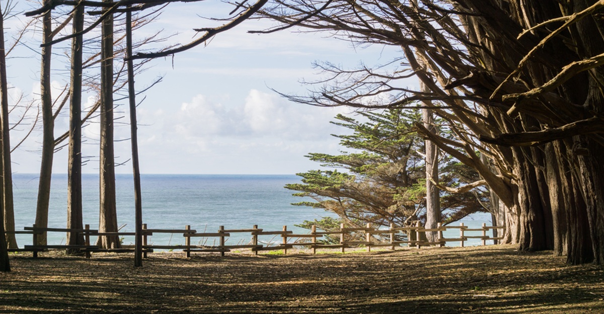 15 Pacific Coast Highway stops that work well with kids