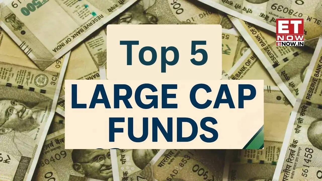 Best large-cap funds for long-term: 17% CAGR! India's top 5 funds made ...