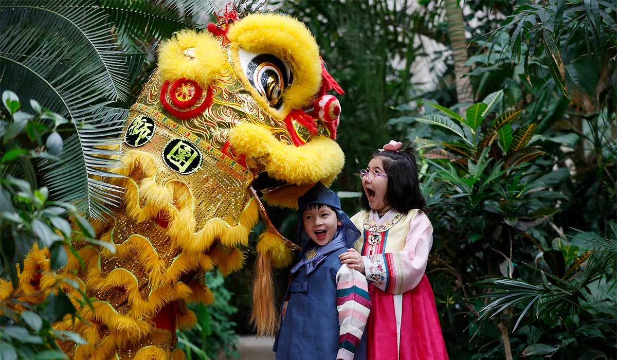 What to do with the family over the February mid-term break