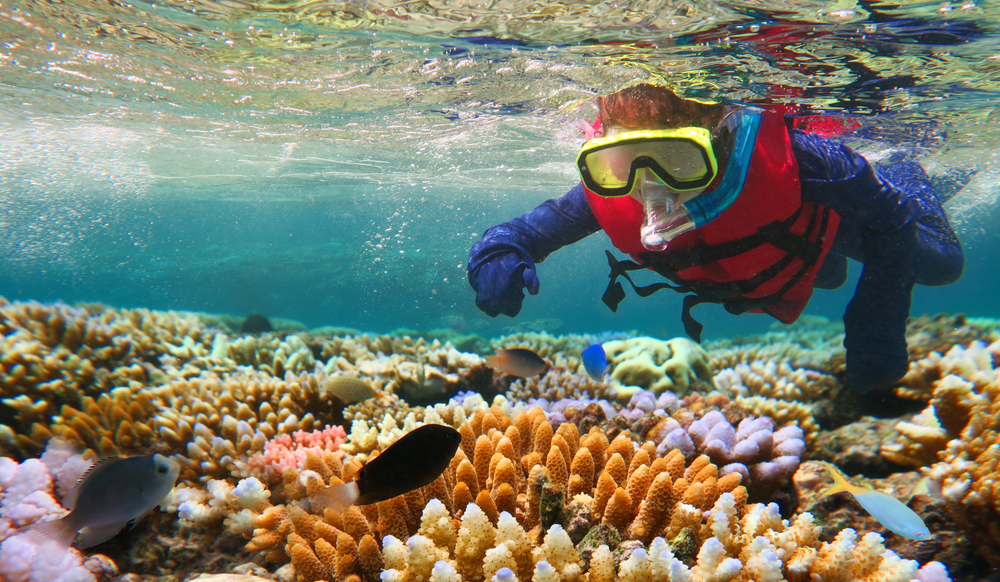 20 stellar places to swim with marine life (beyond sharks and dolphins)